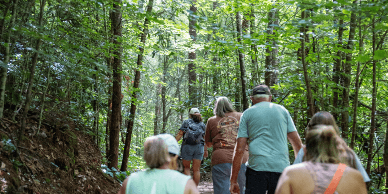 Your Guide to a Safe and Fun Visit to Great Smoky Mountains National ...