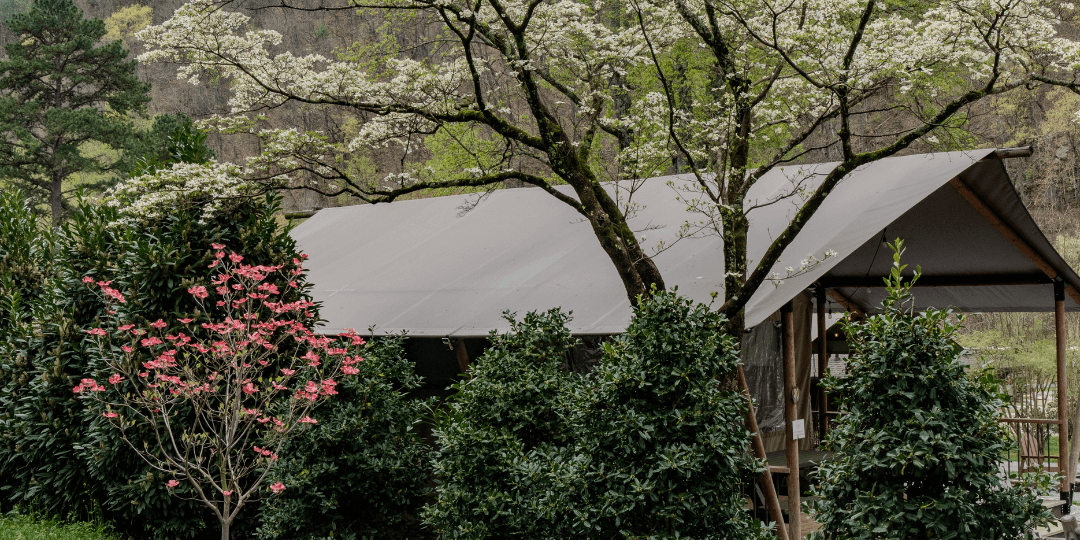 Spring Break in the Smokies - Little Arrow Outdoor Resort